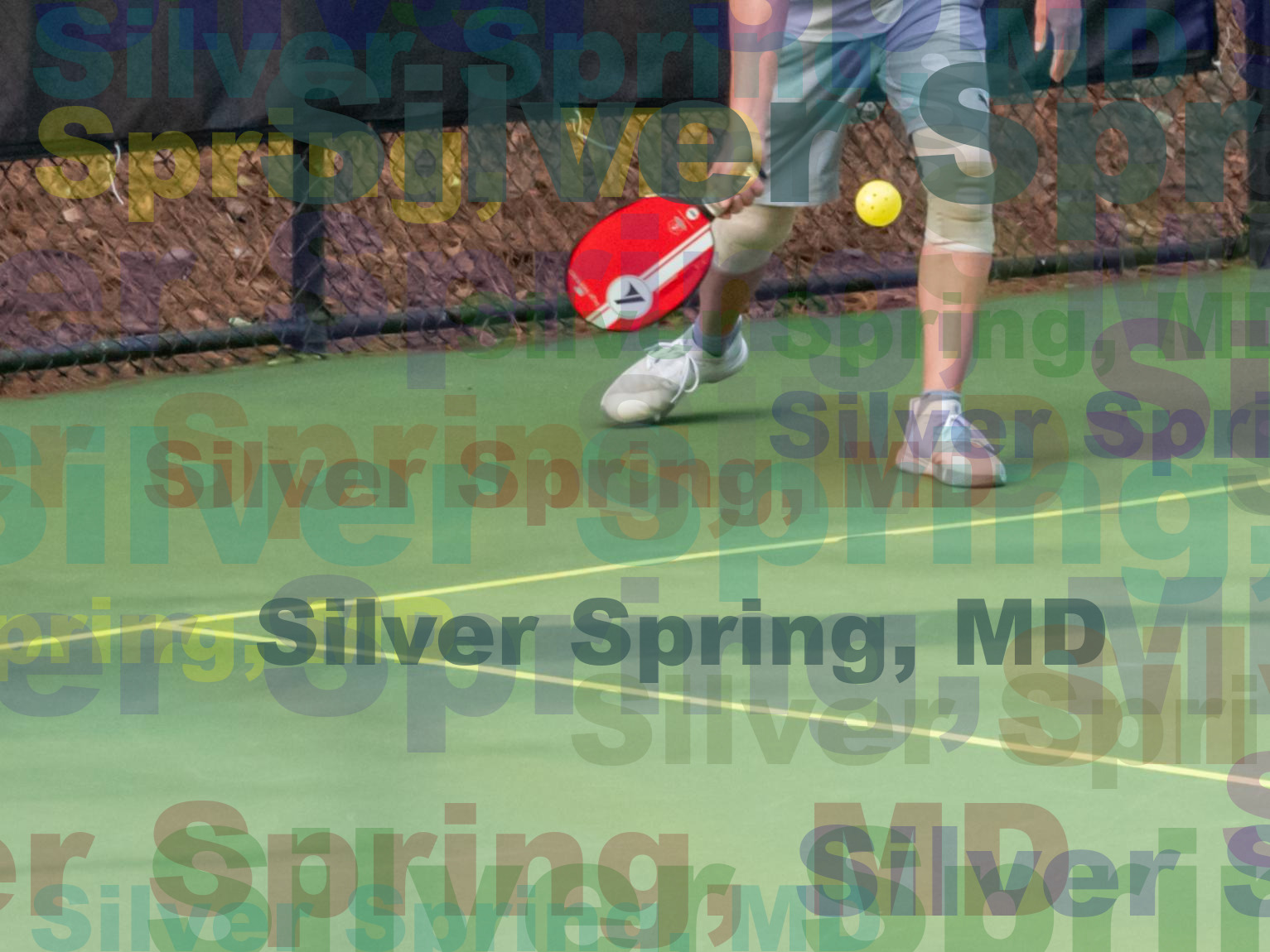 Silver Spring Pickleball: Courts & Lessons Near You